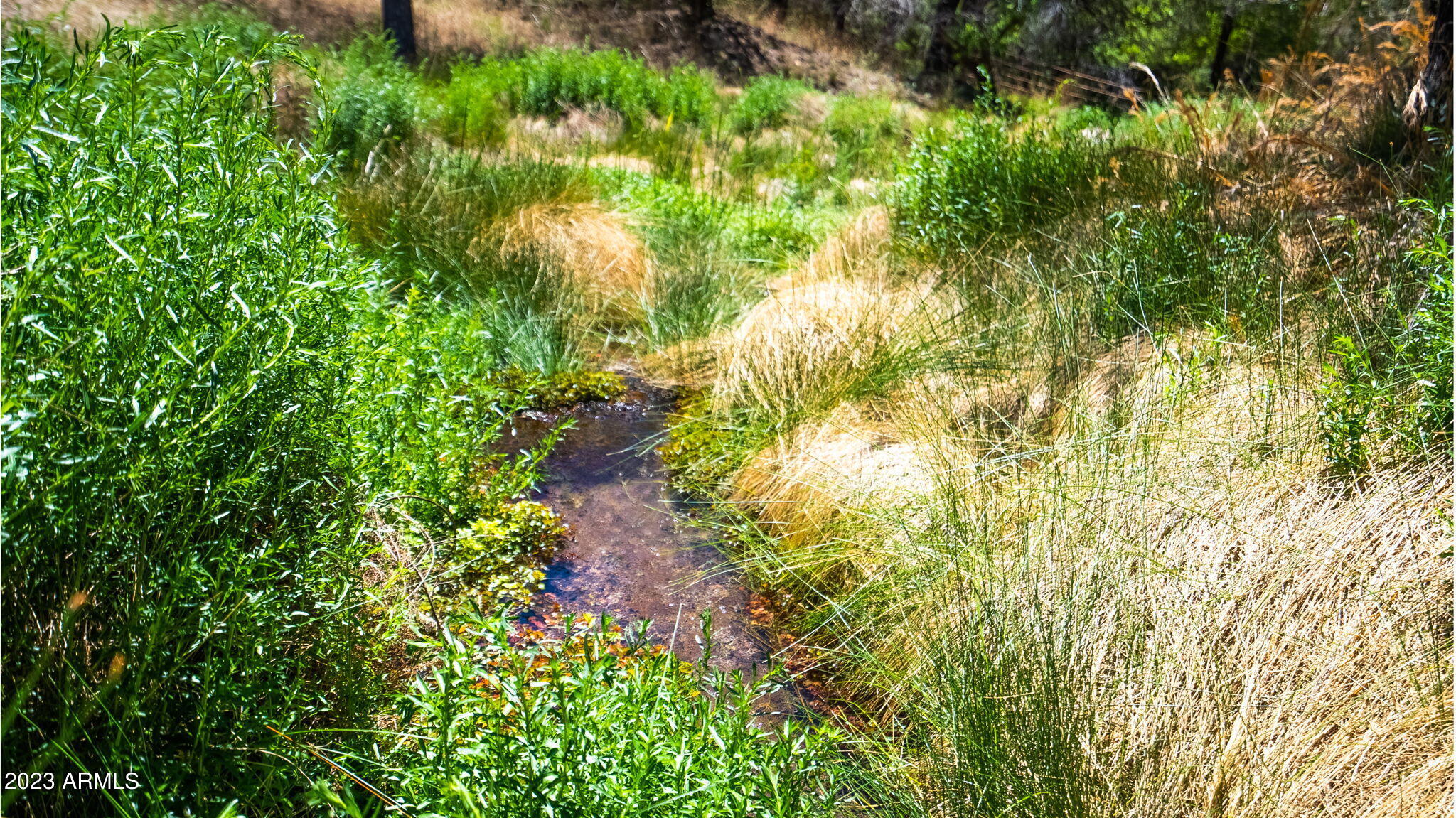 Arizona’s Iconic Rail X Ranch Hits the Market at $29,950,000 – Take a ...